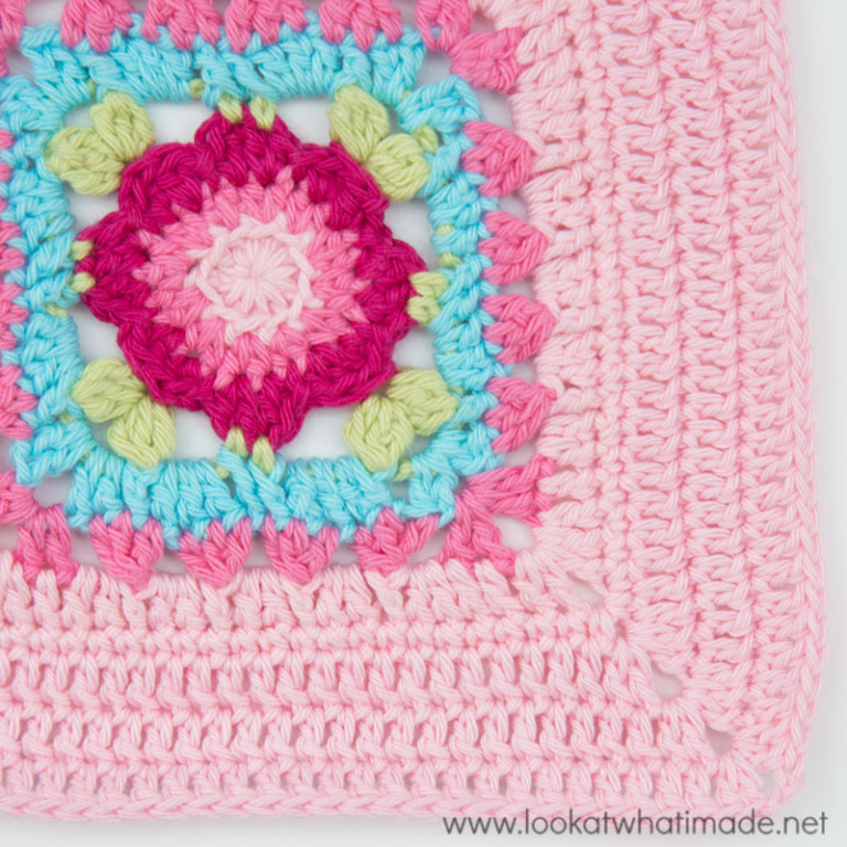 How to Crochet: Rose Border