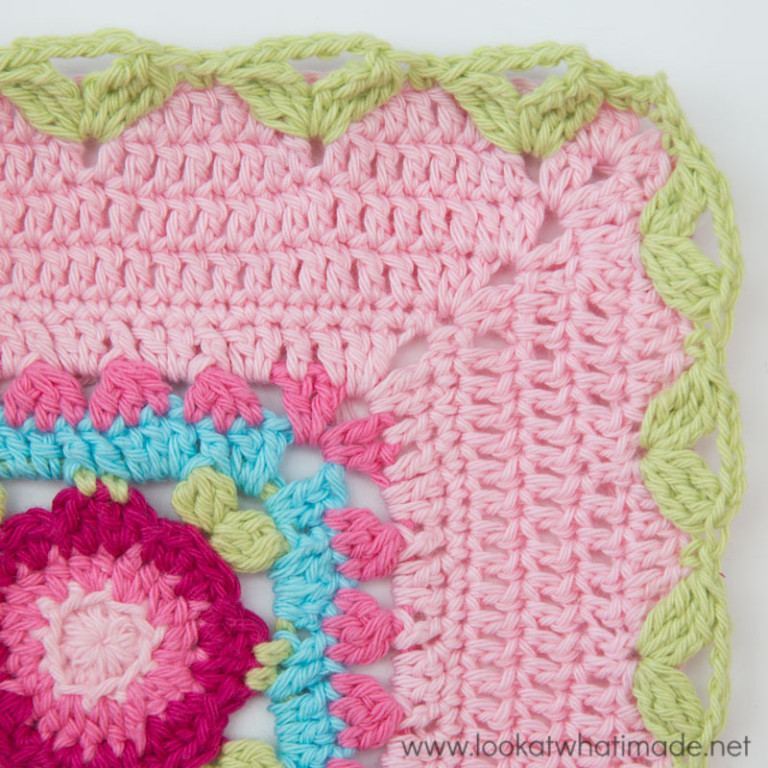 How to Crochet: Rose Border