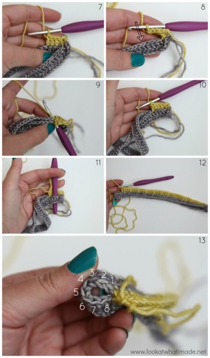 Ammonite Crochet Hook Roll Pattern