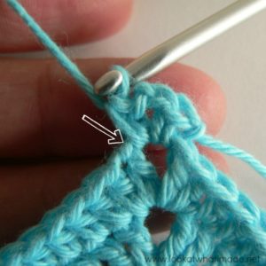 Charlotte’s Universe CAL – Special Stitches and Techniques