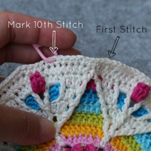 Fancy Nancy Square Pattern